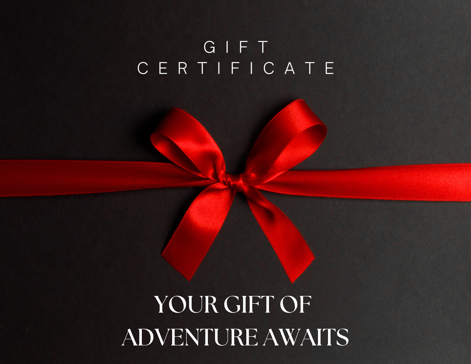 Shelby Hall Off-Road Gift Card – SHO Merch